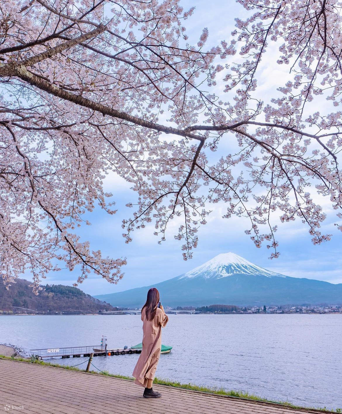 Mount Fuji, Owakudani, and Hakone Join In Bus Tour with Cherry Blossom from Tokyo - Klook